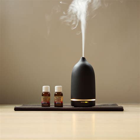 Casa Aroma Diffuser Black Toast Living Touch Of Modern