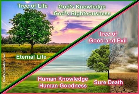 Knowledge The Explanation Medium