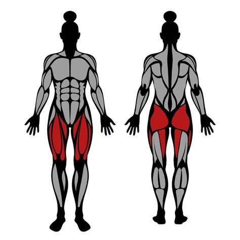Bulgarian Split Squat Muscles Worked And Technique Strengthlog