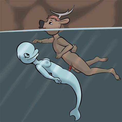 Rule 34 11 Animal Genitalia Animal Penis Animated Animated Image