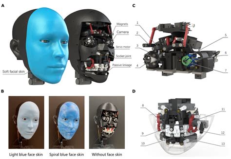researchers develop horrifying face mimicking robot