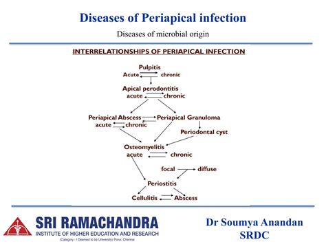 Apical Peridontal Cyst Periapical Abscesspptx