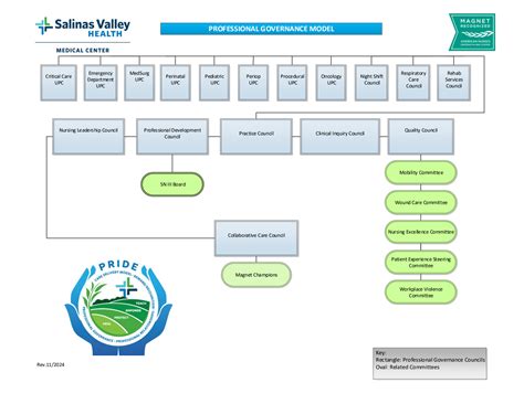 Professional Governance Model Monterey County Health System