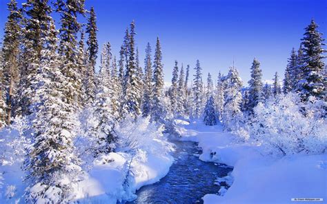 🔥 Free Download Beautiful Nature Winter Wallpaper Desktop Wallpaperil