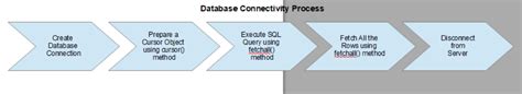 Inserting Records Into A Database From Python By Kumar Brar