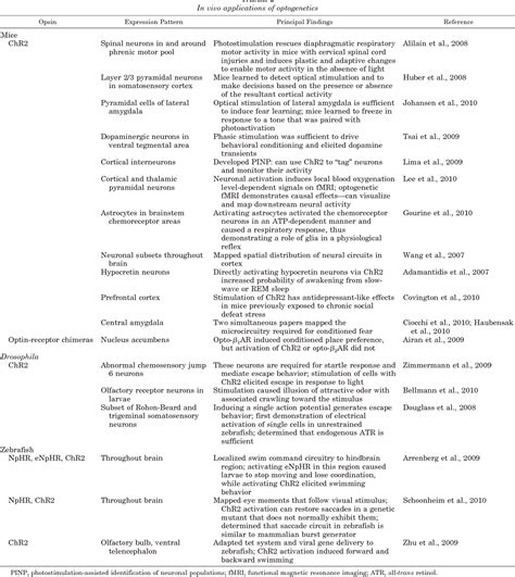 Neuronal Signal Transduction Semantic Scholar