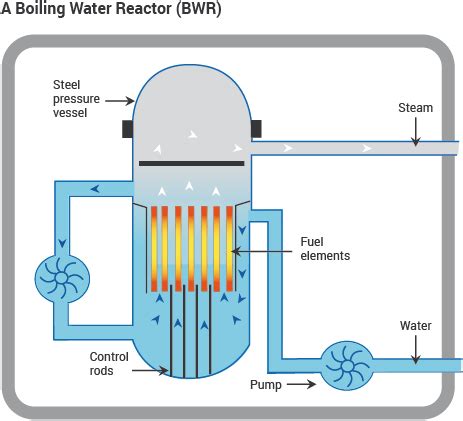 Pressurized Water Reactor Design