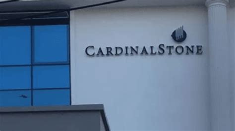 Cardinalstone Leads N501bn Power Sector Bond Issuance