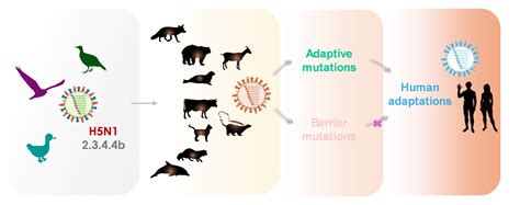 Indian Institute Of Science
