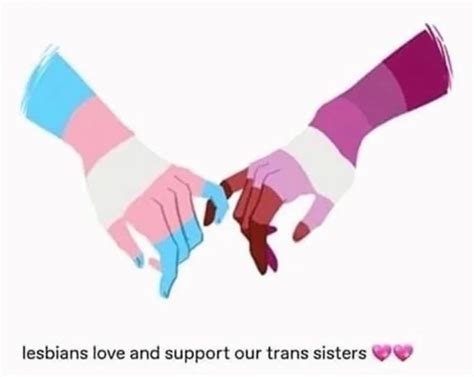 Transbians Album On Imgur