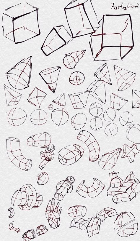 Anatomy Basic Shapes Drawing Reference