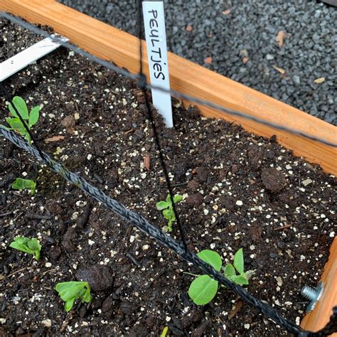 Peultjes Buiten Goed