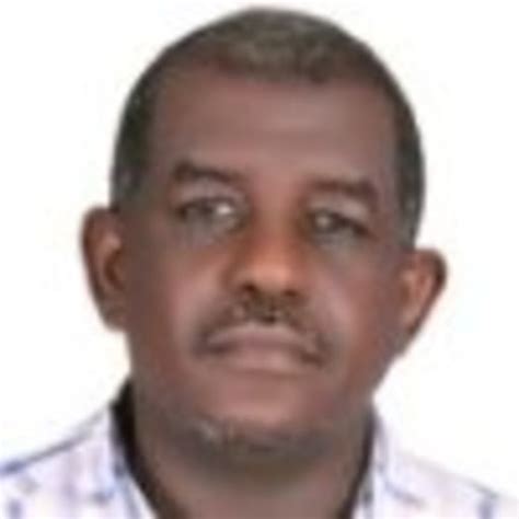 Gamal Abdalla Professor Assistant Phd Russian State University