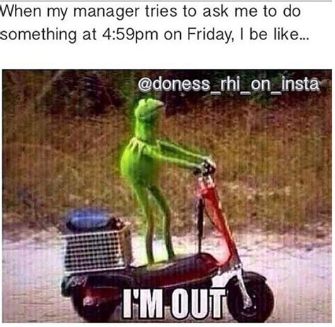 Kermit The Frog None Of Your Business 12 Hilarious Kermit The Frog