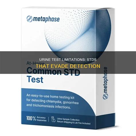 Urine Test Limitations Stds That Evade Detection Medshun