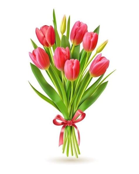 Tulips 2 In 2024 Flower Bouquet Drawing Tulip Bouquet Tulips