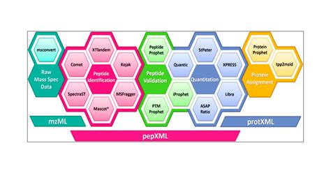 Trans Proteomic Pipeline Robust Mass Spectrometry Based Proteomics Data Analysis Suite