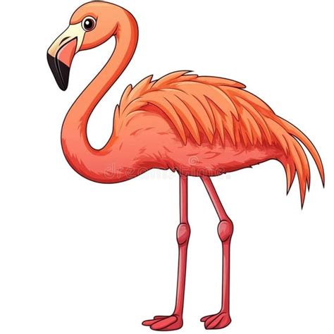 A Pink Flamingo Stands Tall Against A Black Background Its Long Legs