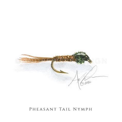 Fly Pheasant Tail Nymph Pattern Andrew Lee Design
