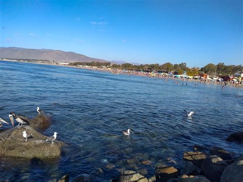 Caleta Guanaqueros 2026 Best Of Tiktok Instagram And Reddit Travel Guide