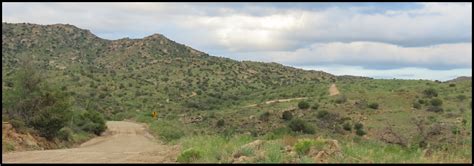 Big Bend 12 19 June 2021 A Stop At Chaparral Wma