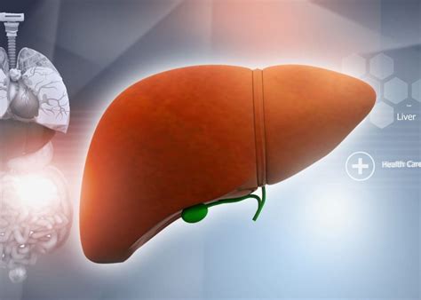 Healing Fatty Liver How Naturopathic Medicine Can Transform Your Liver