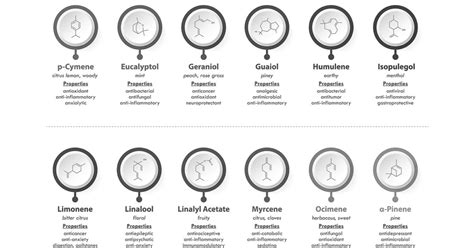 Why Terpenoids Matter Level