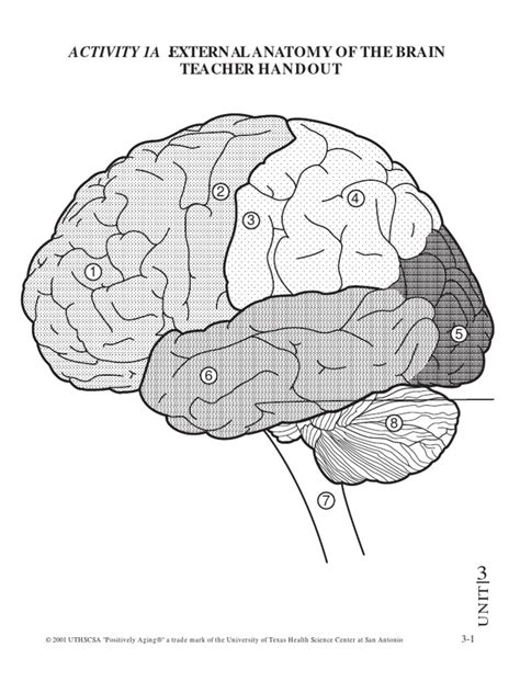 Psychology Iii Diagram Quizlet
