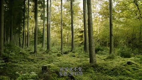 祢爱永不变 玺恩 巫启贤 Youtube