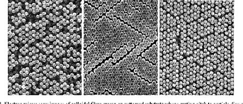 Figure 1 From Centimeter Size Single Domain Colloidal Crystals On