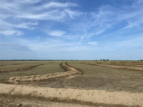 Rice Microbiome Sampling In Arkansas Wilkins Laboratory