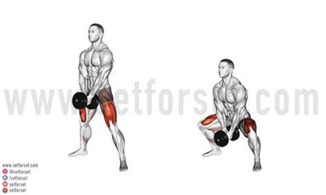 10 Best Glute Exercises With Dumbbells Set For Set