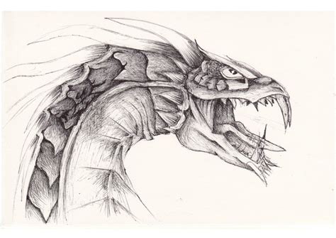 Alpha Dragon By Theadventurousdragon On Deviantart