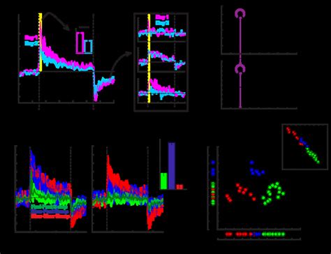 Clustering Of Participants Learning Data Revealed 3 Behavioural Download Scientific Diagram