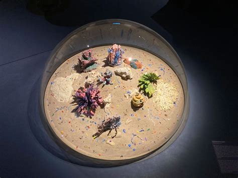 Yesterday Afternoon Robbert Dijkgraaf Opened The Multi Year Exhibition… Maria Verstappen