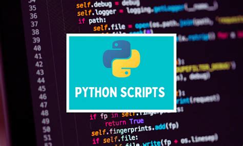 Create Your Programming Projects Using Python By Vitorcrista Fiverr