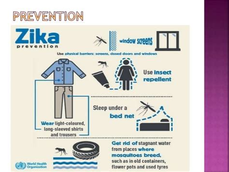 Zika Virus Pptx Zika Virus Pptx