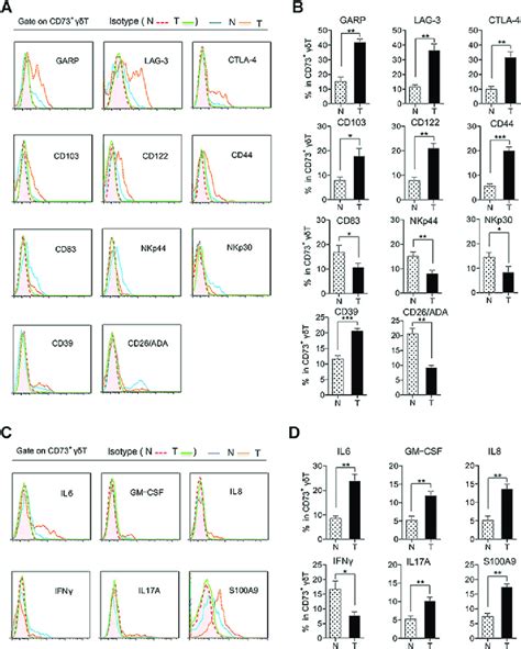 Phenotype Of Cd73 þ Gdt Cells In Breast Cancer Versus Paired Normal