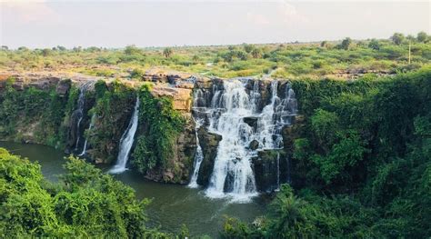 Tribe One Reviews Kothaguda India Photos Of Hotel Tripadvisor