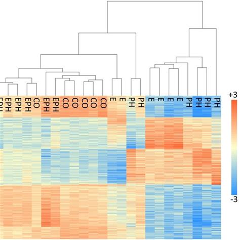 Heatmap Of The Standardized Fpkm Gene Expression Showing Relative