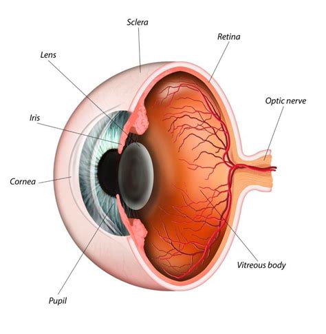 Retinal Detachment Treatment In Mumbai Dr Anurag Agarwal
