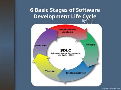 Six Stages Of Software Developement Life Cycleppsx