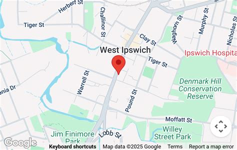 Alice Dress Costume Closet