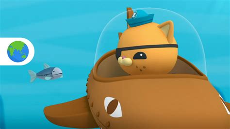 Octonauts Mandarin The Octonauts And The Sardine School Abc Iview