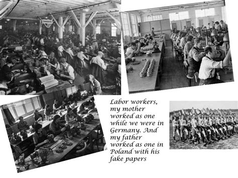 Ppt Barbara Schechter Cohen Powerpoint Presentation Free Download Id2662962