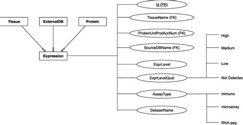 expression table a schematic representation of the expression table in