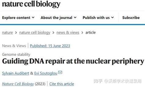 Ncb 中山大学团队发现dna损伤修复通路选择的调控新机制 知乎 Ncb 中山大学团队发现dna损伤修复通路选择的调控新机制 知乎