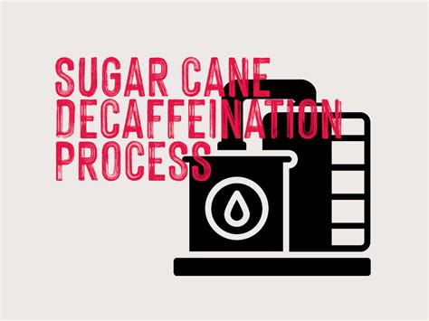 Sugar Cane Decaffeination Process Diagram Falcon Micro