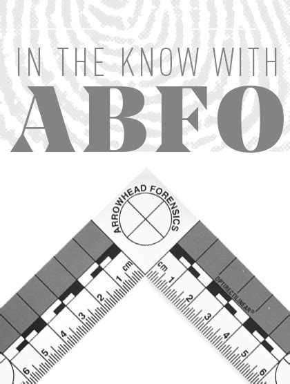 Proper Use Of Abfo Scales Arrowhead Forensics