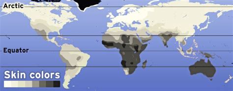 Humans Causes Of Color